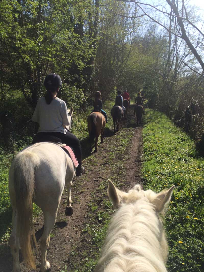 Balades à cheval dans le Calvados, Normandie - Ecurie les Grainvilleries