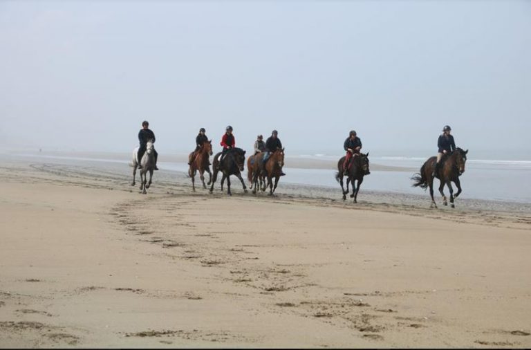 Balades à cheval dans le Calvados, Normandie - Ecurie les Grainvilleries